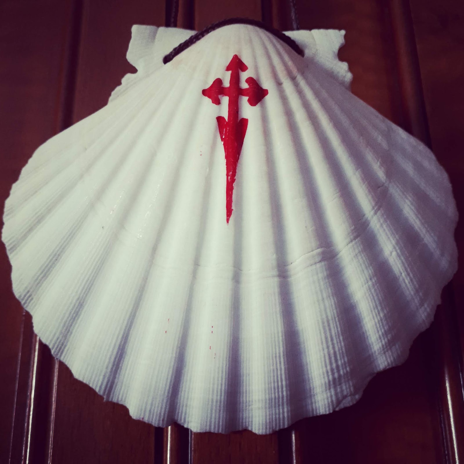 Luz Espiritual: LA CONCHA JACOBEA