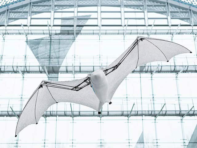 Flying Robot-bat invented like real-bat ~ Science & Technology Updates