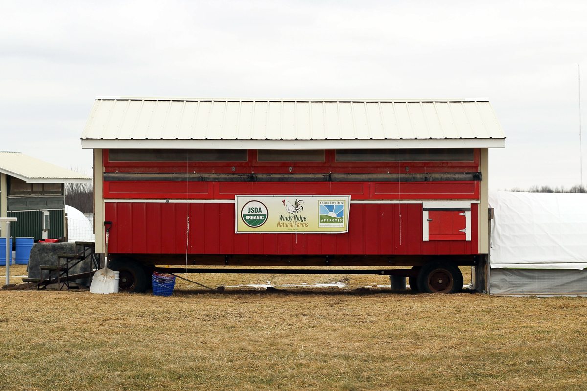 The Butcher and The Baker: Field Trip: Windy Ridge Natural Farms