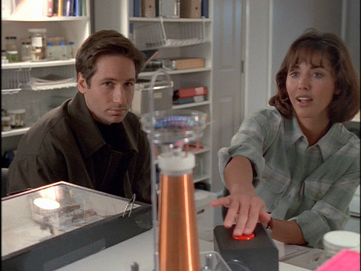 I Want to Review: Case 03, File 12: War of the Coprophages