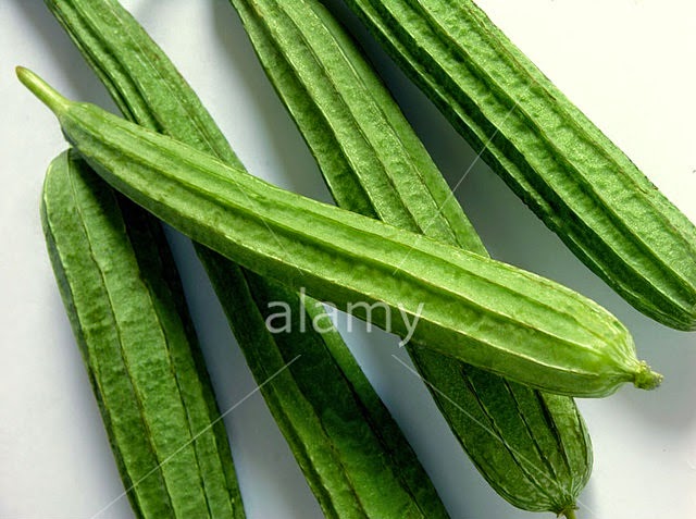 Travel & Health News: Jhinga Health Benifits