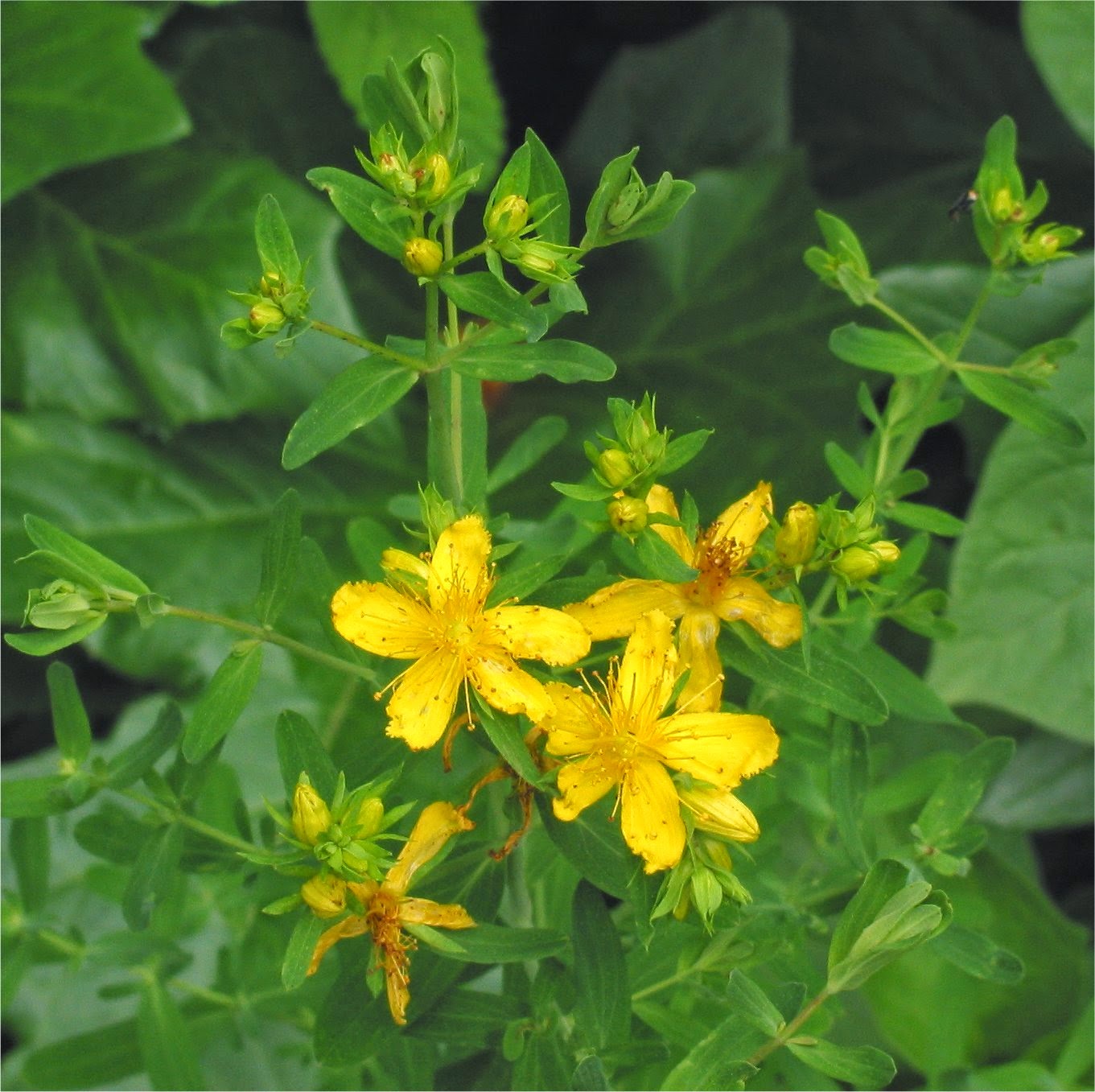 Natura i Territori: d’octubre 2014