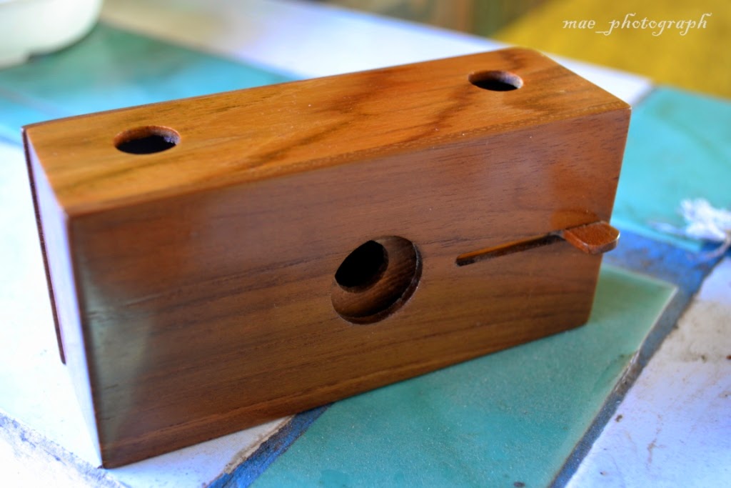 NEO Pinhole Camera: Edisi Kotak Kayu