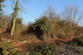 Remembering Maltby : Maltby Common