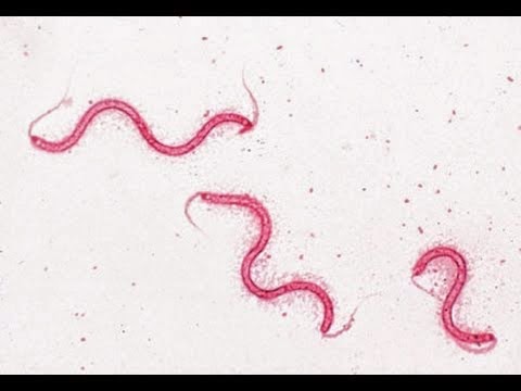 Blog do Prof. Acurso Sena Costa: Maio 2015