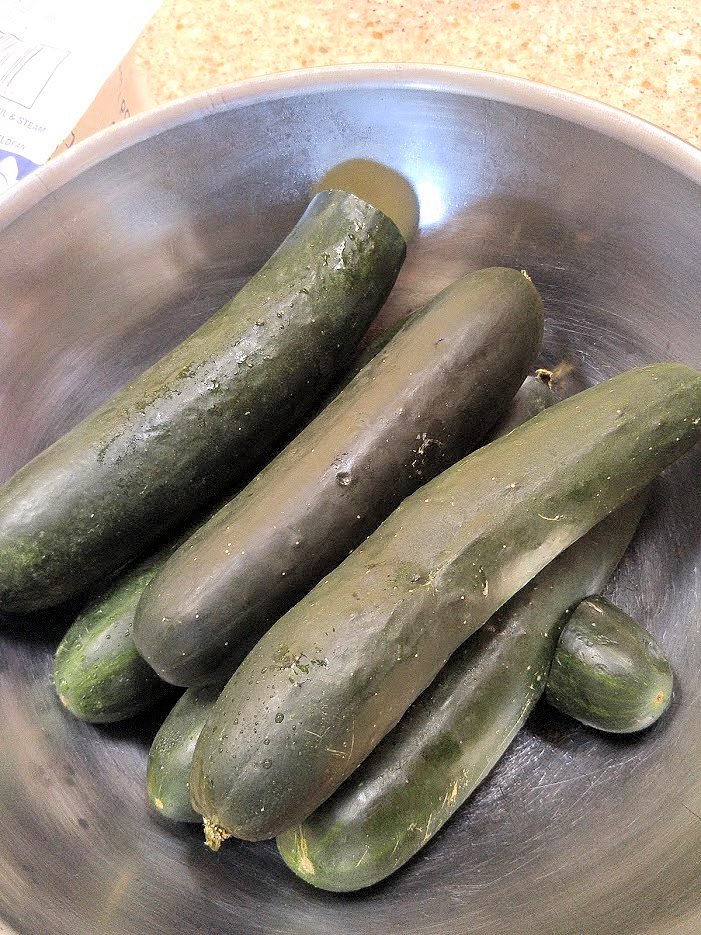 Sheppy's Blog: Kucumbering the Kölsch