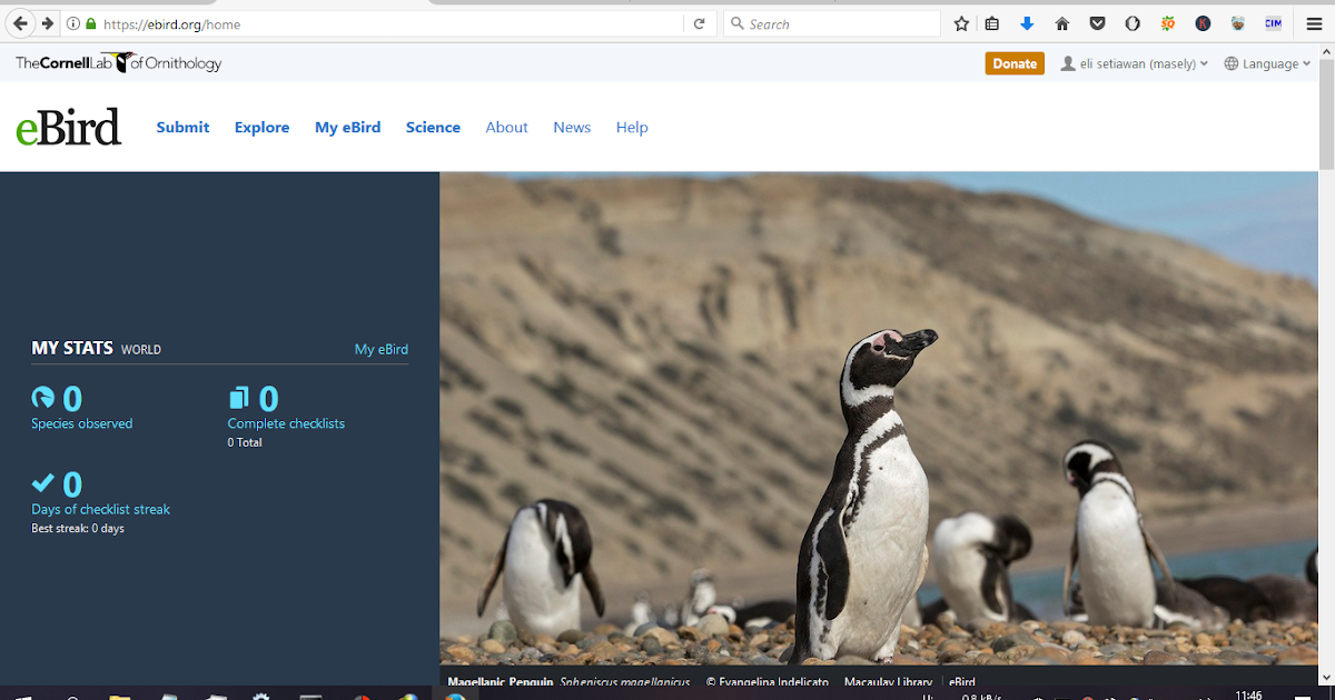 cara membuat akun di eBird.org - Elinotes - Review By Eli Setiawan