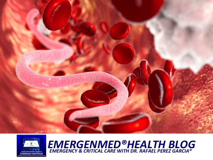 EmergenMed Health Blog: Helmintiasis transmitidas por tierra