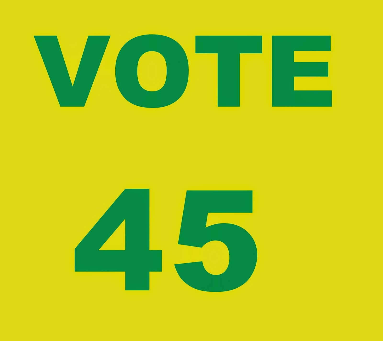 RICARDO ARAUJO - FOTO JORNALISMO: PSDB 45