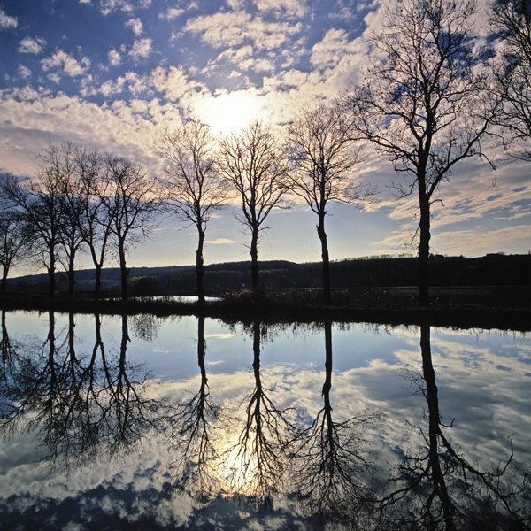 Ilustracordoba: Charlie Waite