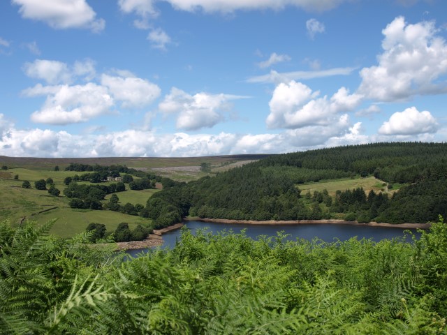 Peak Walks 2: Take the Strine!