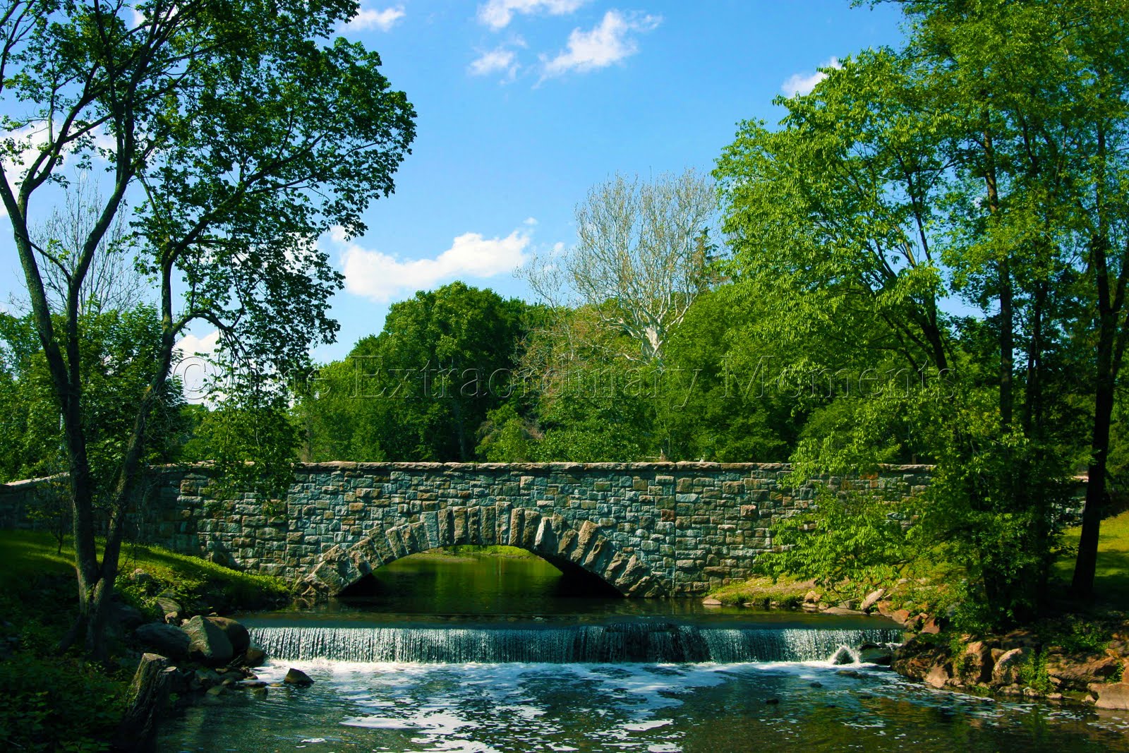 THE EXTRAORDINARY MOMENTS: PHOTO OF THE WEEK | SCARSDALE, NY LANDSCAPE