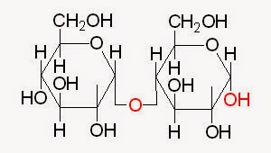 BIOLOGIA CELULAR DP144: III BIOMOLECULAS