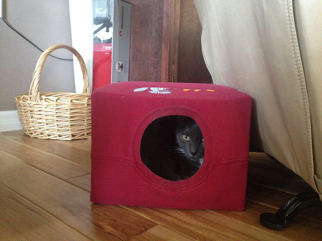 The Glam Cat: DYI Cat Cave Tutorial