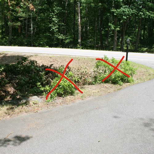 Jenn Ski: Landscape project