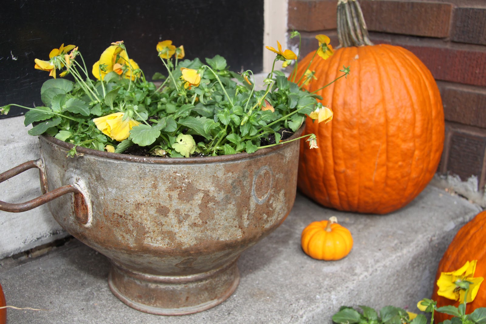 lisa gammel maas: in clover: time for a change