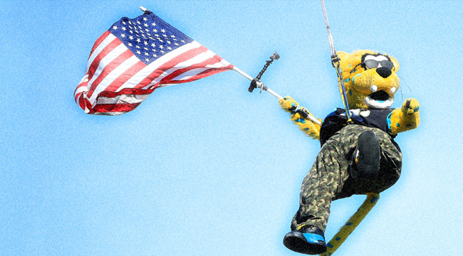 Customize Mascot Costumes for Festival - MascotBest.com