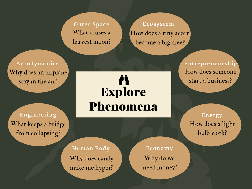 It’s a Bird... It’s a Plane... It’s Phenomenon-Based Learning! | The ...