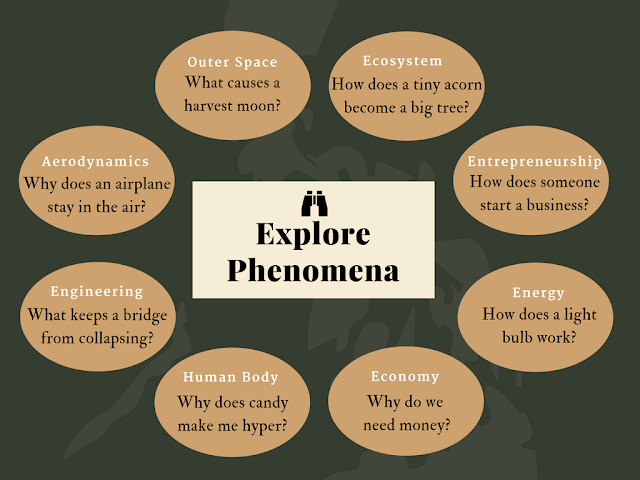 It’s a Bird... It’s a Plane... It’s Phenomenon-Based Learning! | The ...