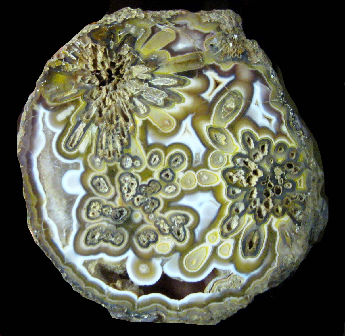 Zirnspiration!: (Nature) Agate