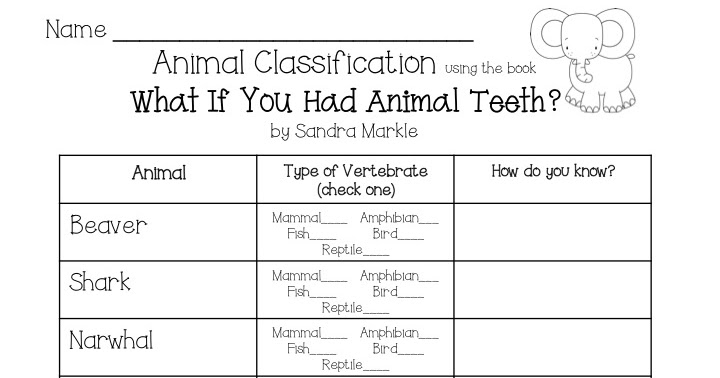 animal worksheet: NEW 197 ANIMAL TEETH WORKSHEET KS2