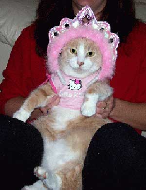 Hello Kitty with her Kitty Owners | Hello Kitty Forever