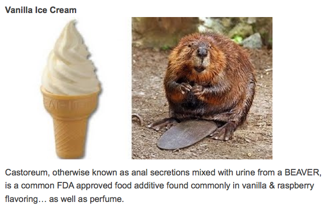 Castoreum ~ Everything You Need to Know with Photos | Videos