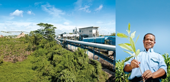 PT. TANJUNG ENIM LESTARI PULP & PAPER (TEL PP) - Prabumulih
