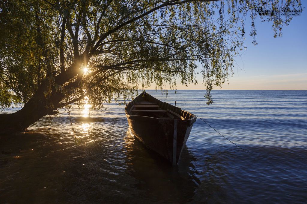 NaturePhotoBuilder: A hegyikecske és a Duna-delta találkozása