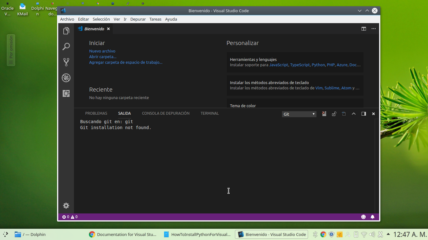 GeneXus, Java, Golang Open Source y otras yerbas: Visual Studio para Linux