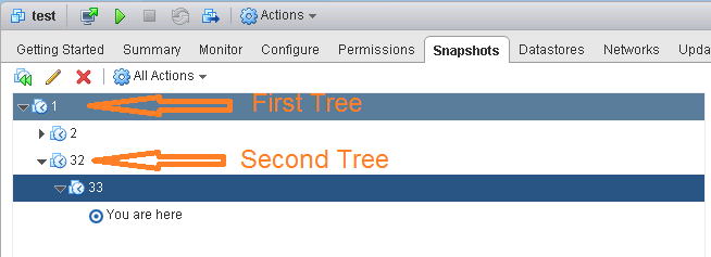 Virtualization The Future: Error Message When Maximum VMware Snapshots ...
