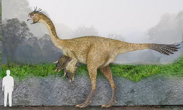 Documentalium: Gigantescas aves extintas