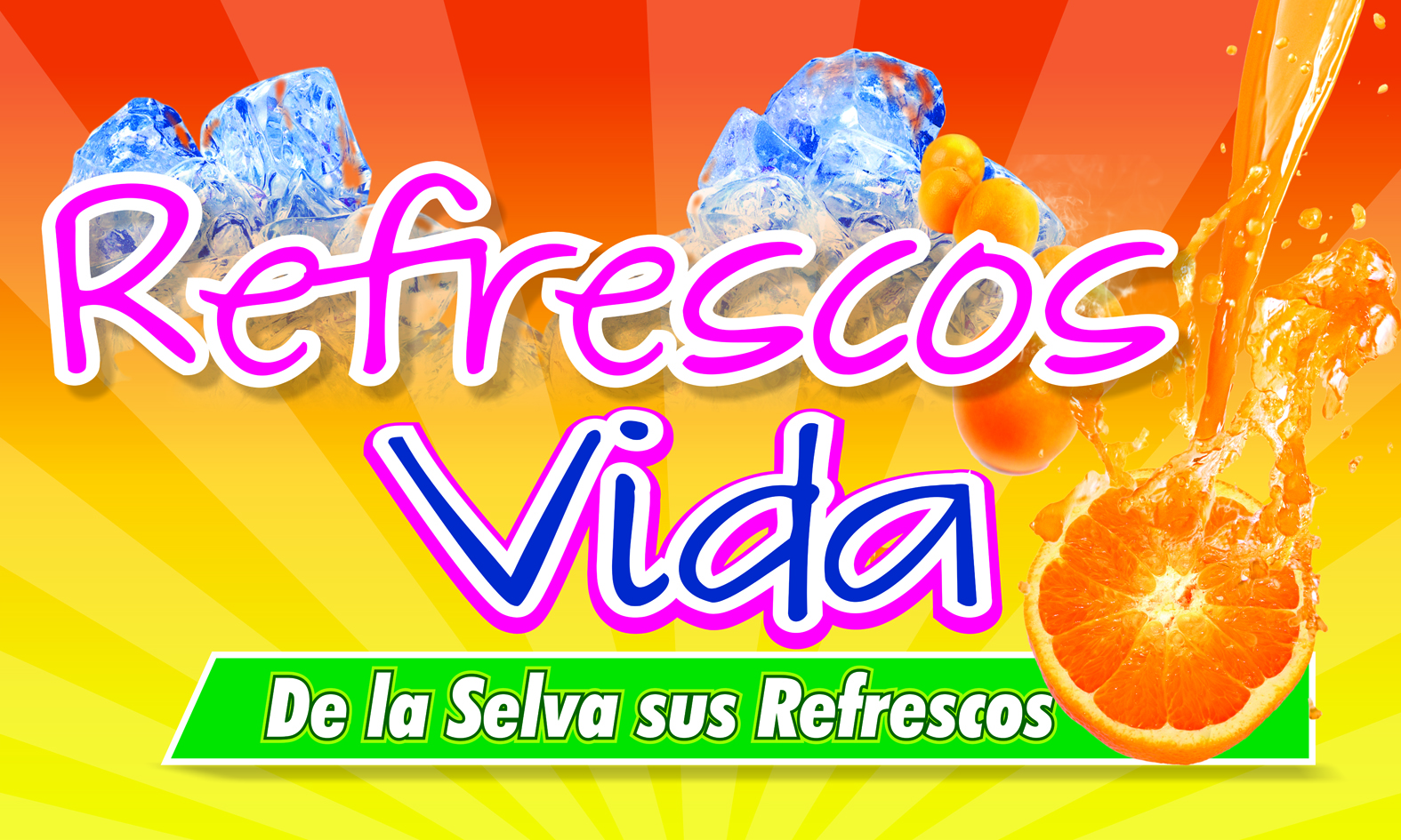 Refrescos Vida