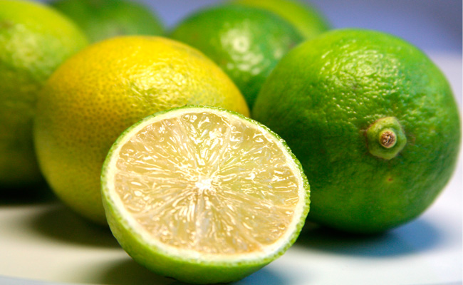 BetaniaCaneca.: LIMÃO O MAIOR MILAGRE DA NATUREZA :: CONHEÇA AS ...