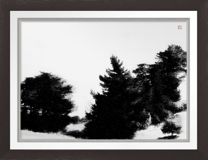 Singapore Sojourn: Today's Art - Trees Drawing