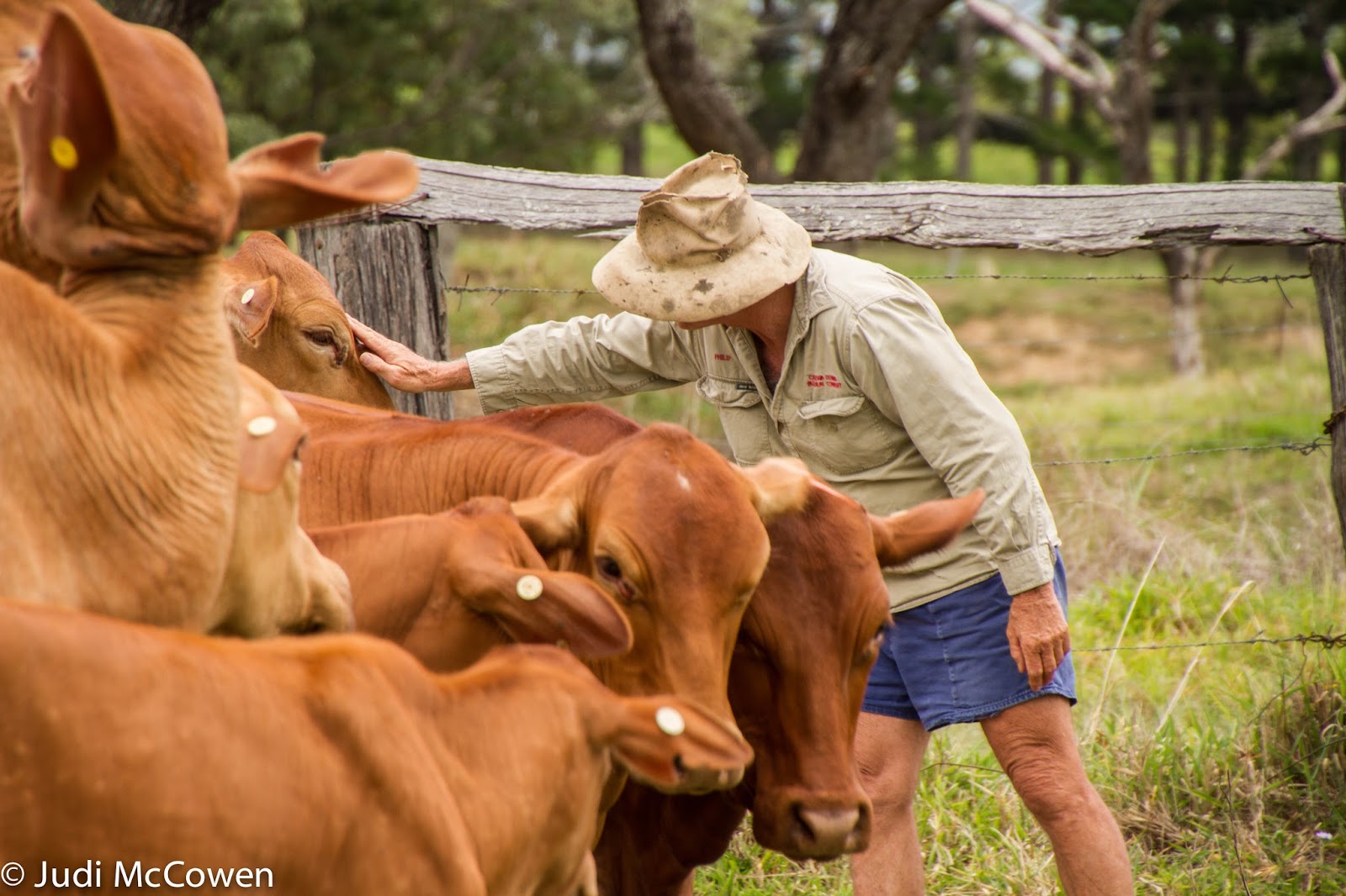 JUstDreamInparadise: Mustering