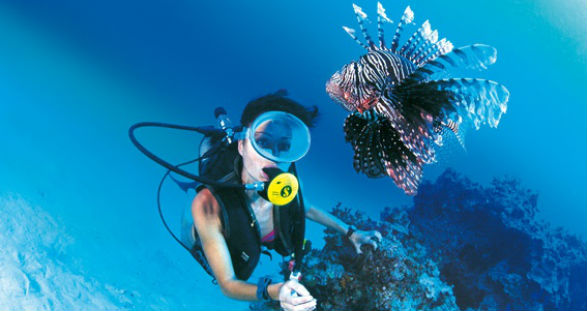 hobby hobby: Recreational diving Hobby