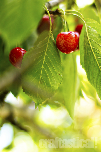 Craftastical!: Cherries!