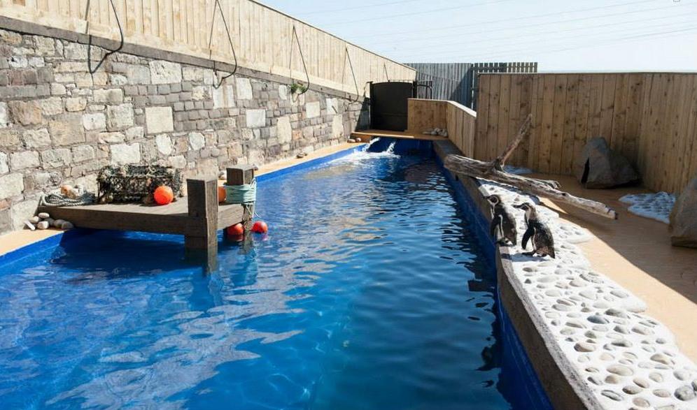 All about plants and planters: Penguin nesting boxes part deux