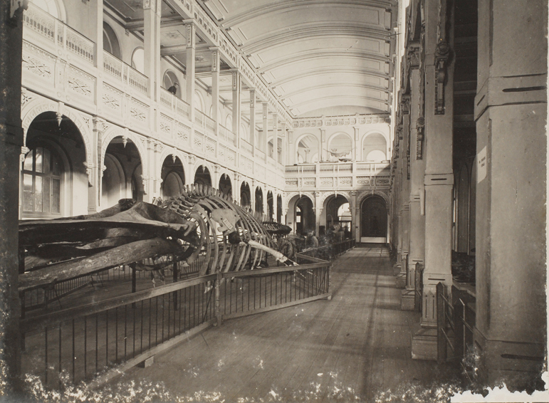 Curioseandando: Paseos por Santiago de Chile: Museos en Quinta Normal ...