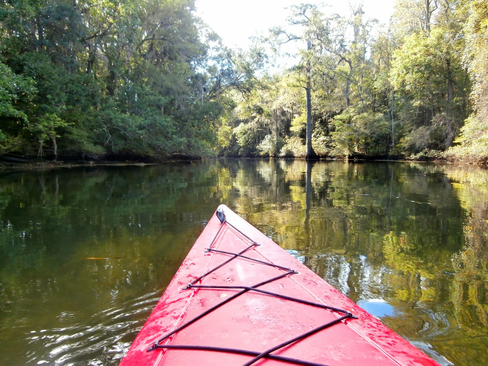 Outdoor South: The Wakulla River