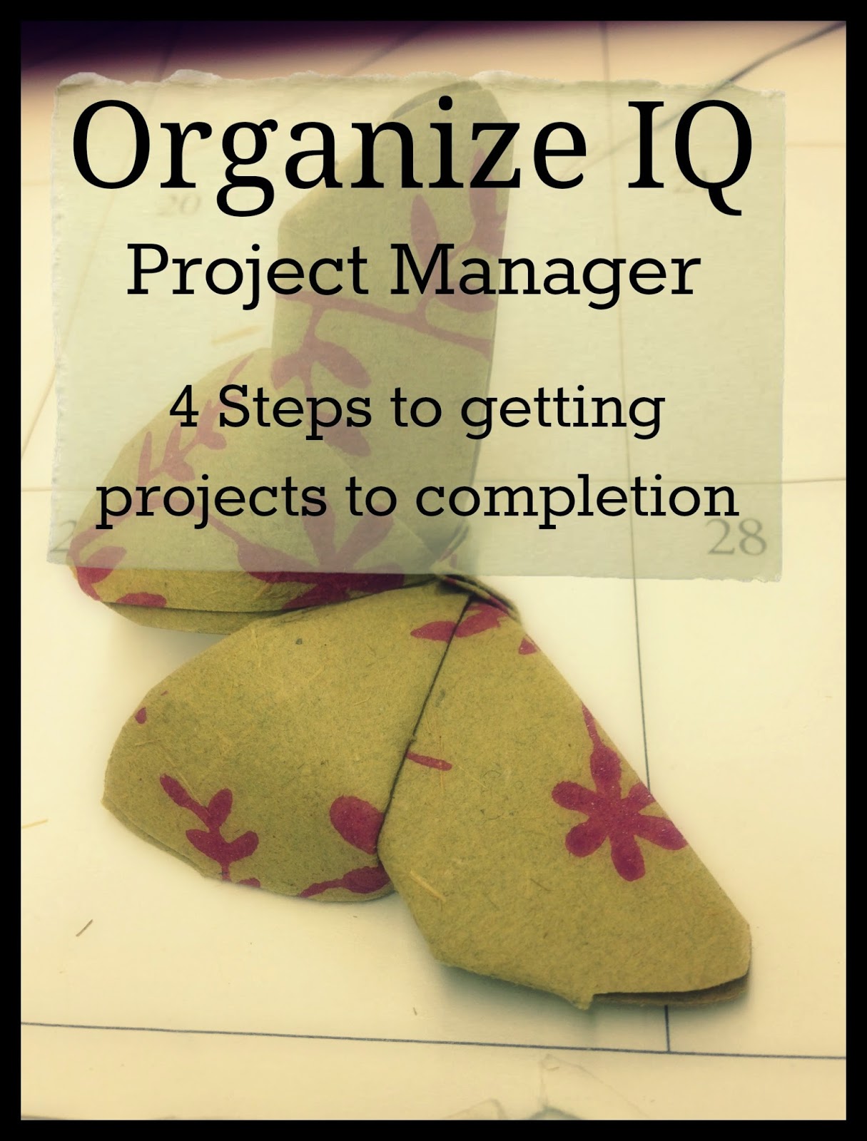 Organize IQ - Project Manager