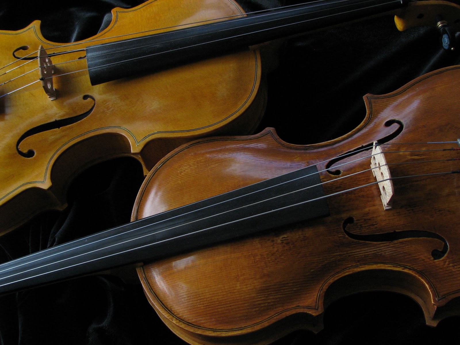 Violins of Plymouth: Tuscan-Medici Violas by Antonio Stradivarius