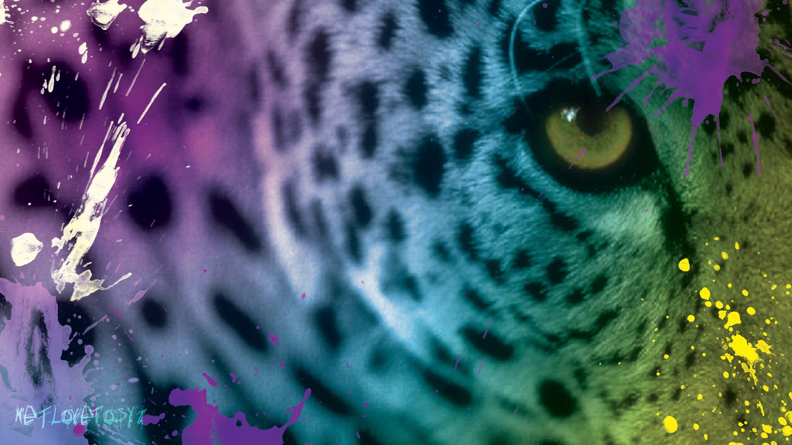 -[ wwwallpaper.blogspot.mx ]-: Chita wall