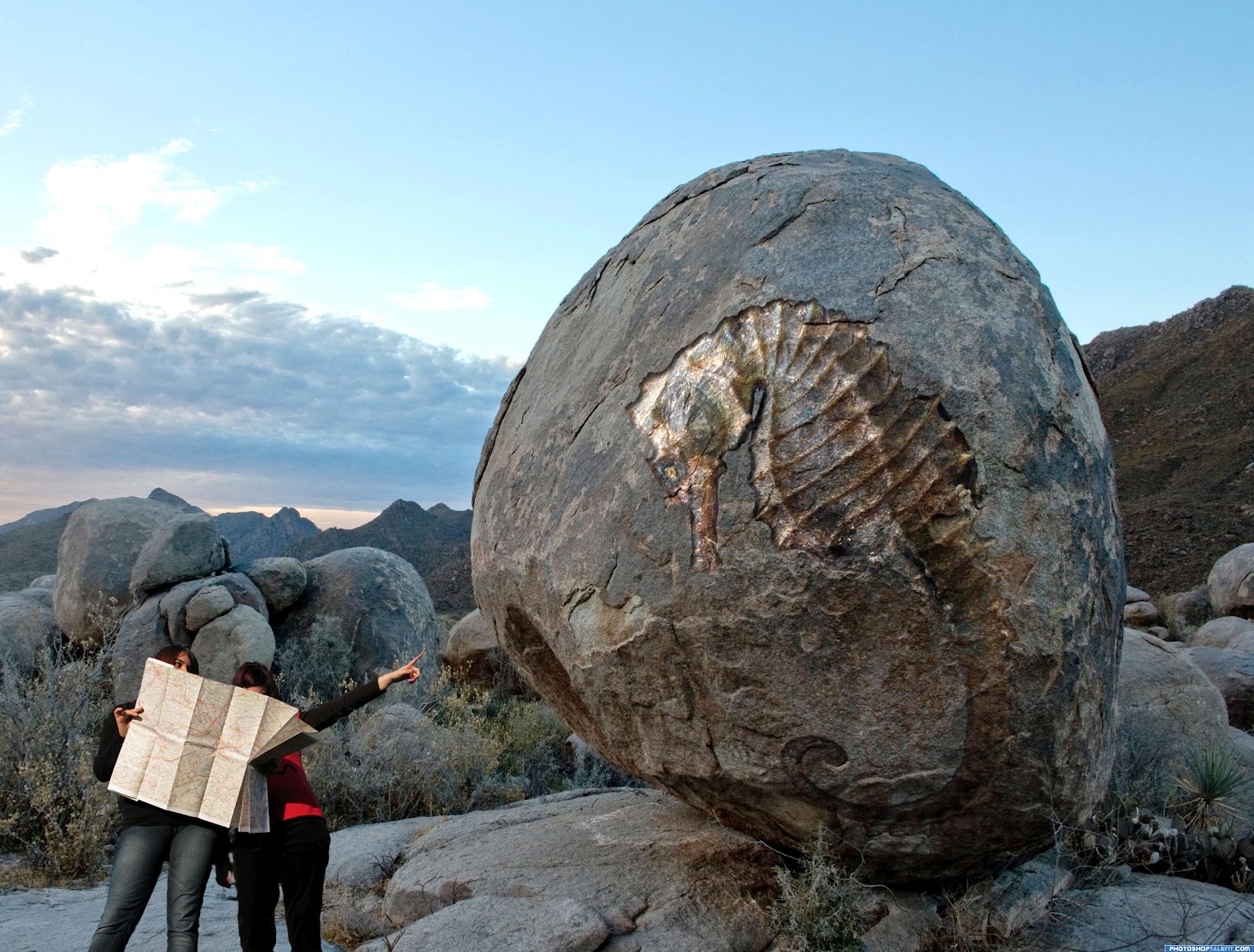 Amazing Photos: Amazing Fossil
