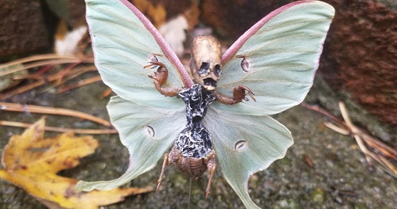 Shivers of Delight: Dead Fairies from Petite Grotesque