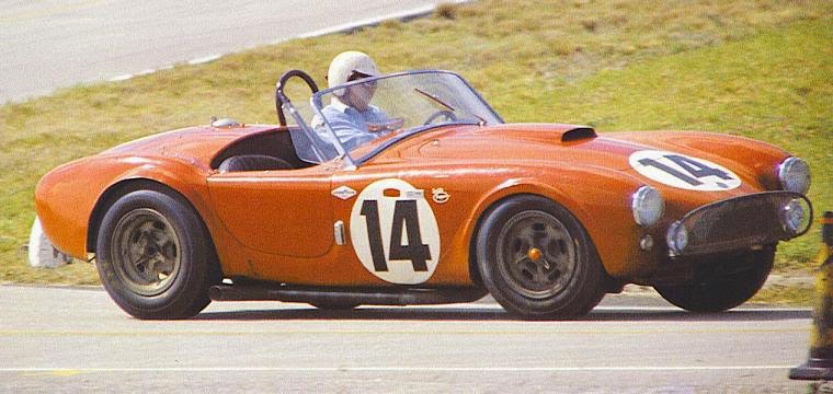 Cobra: Cobras With Competition Numbers