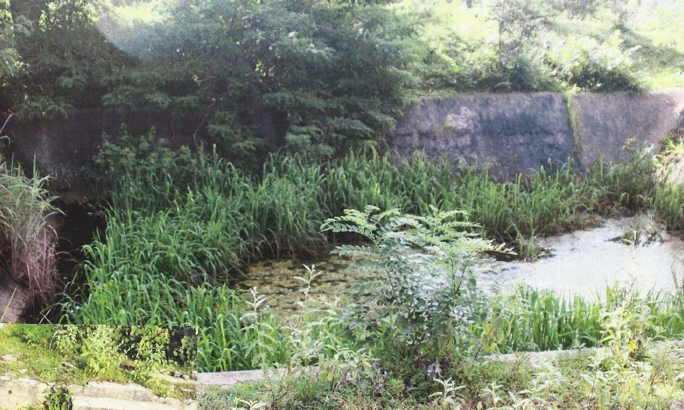 Discover Tourism and Culture in Niger State [Photos] - Niger Times Test ...