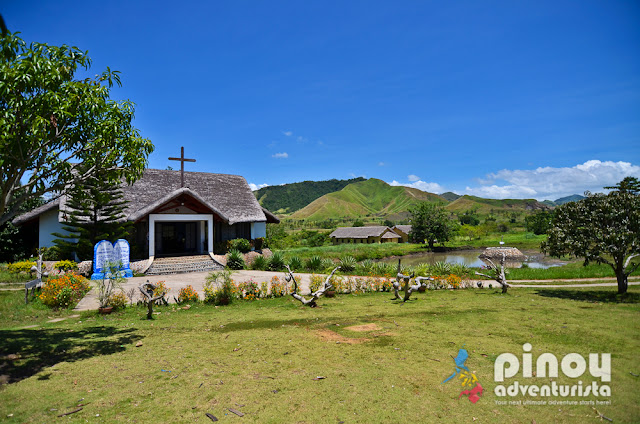 THINGS TO DO IN MASBATE: Ranch Tour at Sese Brahmans Ranch and Fazenda ...