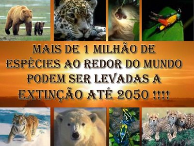 SEMANA MUNDIAL DO MEIO AMBIENTE - Animais em Extinção | CMS Newton Bethlem